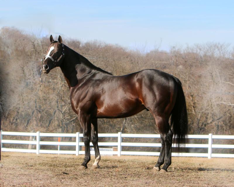 APOLLITICAL SPIN | APOLLITICAL JESS x EYEM THE ONE