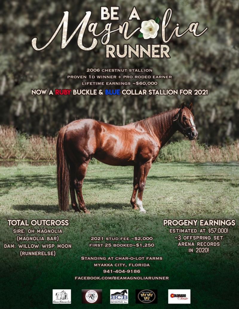 Triple Crown 100 | Stallions