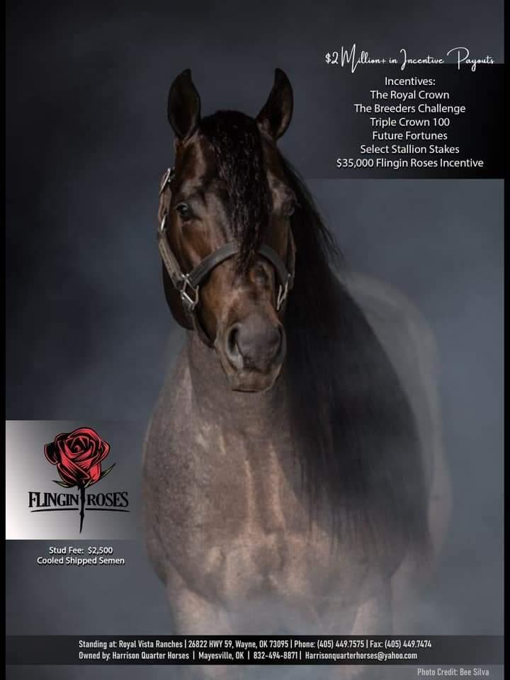 FLINGIN ROSES | A STREAK OF FLING x DANCING ROSE LADY