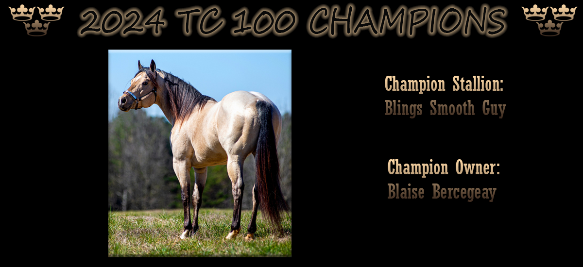 2024 TC 100 Champion Stallion